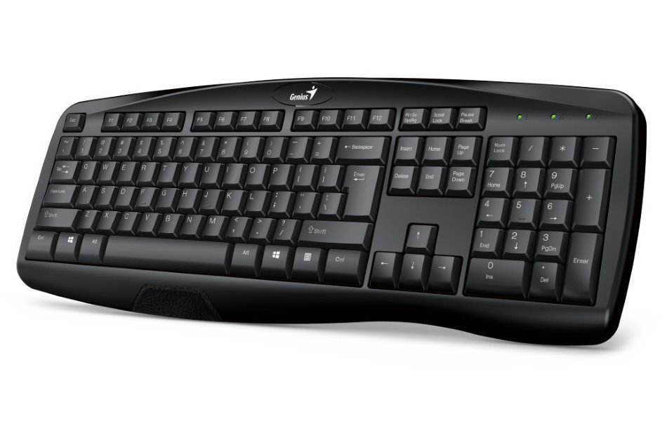 GENIUS KB-118 klávesnice/ Drátová/ PS2/ černá/ CZ+SK layout 31300010415 ...